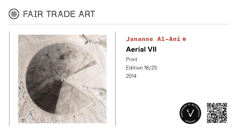 Jananne Al-Ani | Aerial VII | View certificate