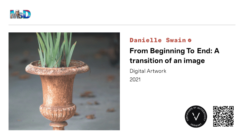 Danielle Swain | From Beginning To End: A transition of an image | View ...