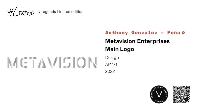 Anthony Gonzalez - Peña | Metavision Enterprises Main Logo | View ...
